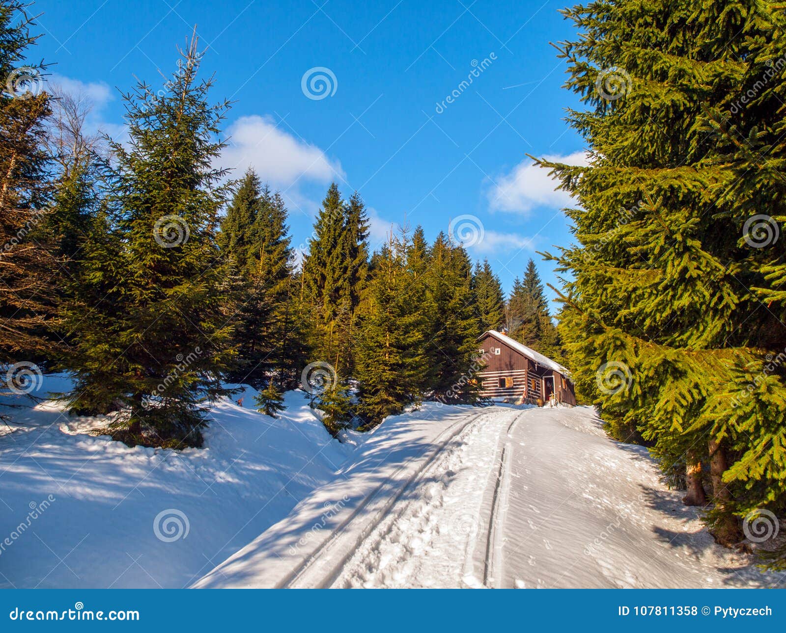 Small Wooden Cottage in the Middle of Winter Forest Stock Photo - Image ...