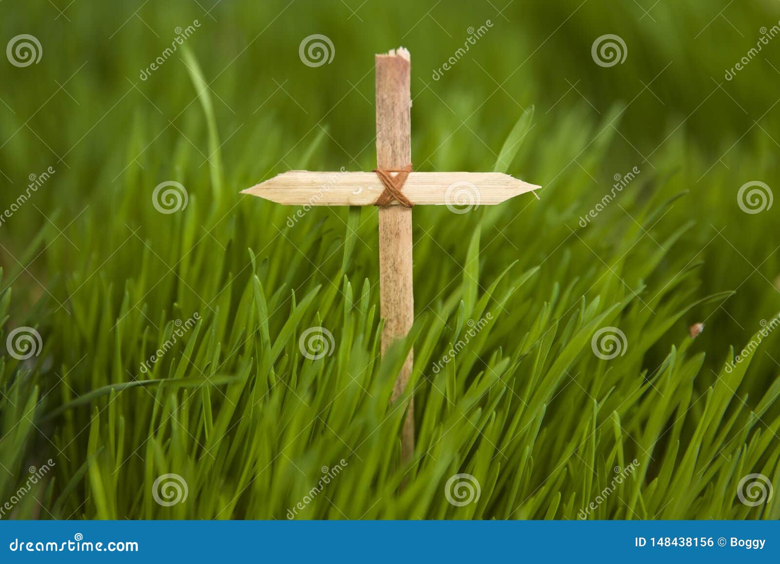 Small Wooden Cross in the Grass Stock Photo - Image of wooden ...