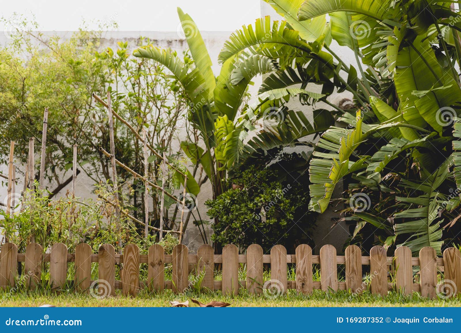 Small Wooden Fence in a Garden Stock Photo - Image of outside, nature ...