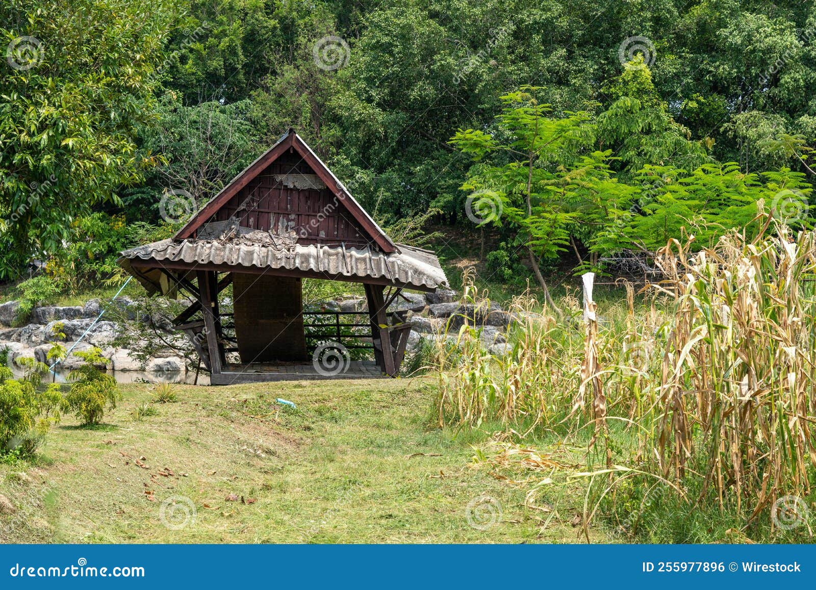 Small Wooden Hut in a Field Surrounded by Trees Stock Photo - Image of ...