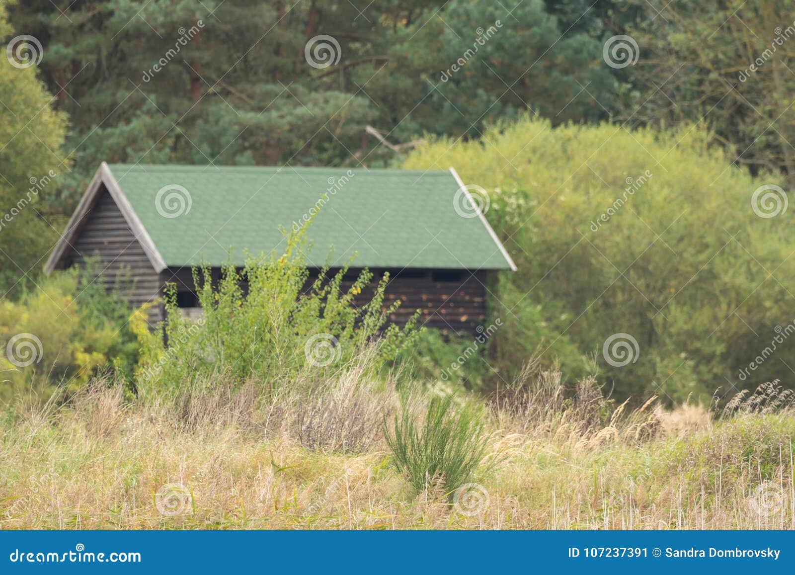 Small Wooden Hut in the Middle of the Wilderness Stock Image - Image of ...