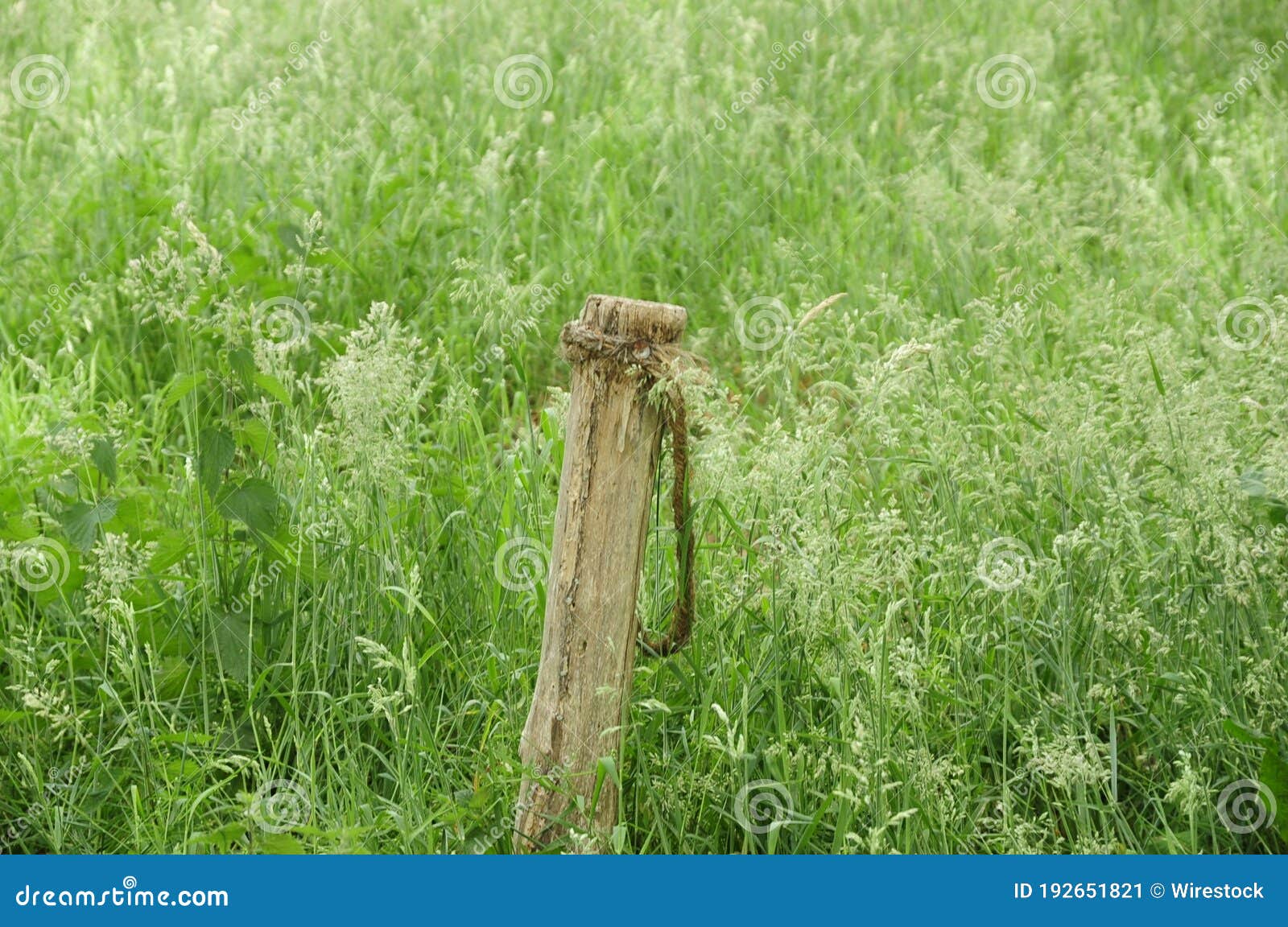 Pillar In A Field Among Grass That Marks The Location Of A Gas Pipe ...