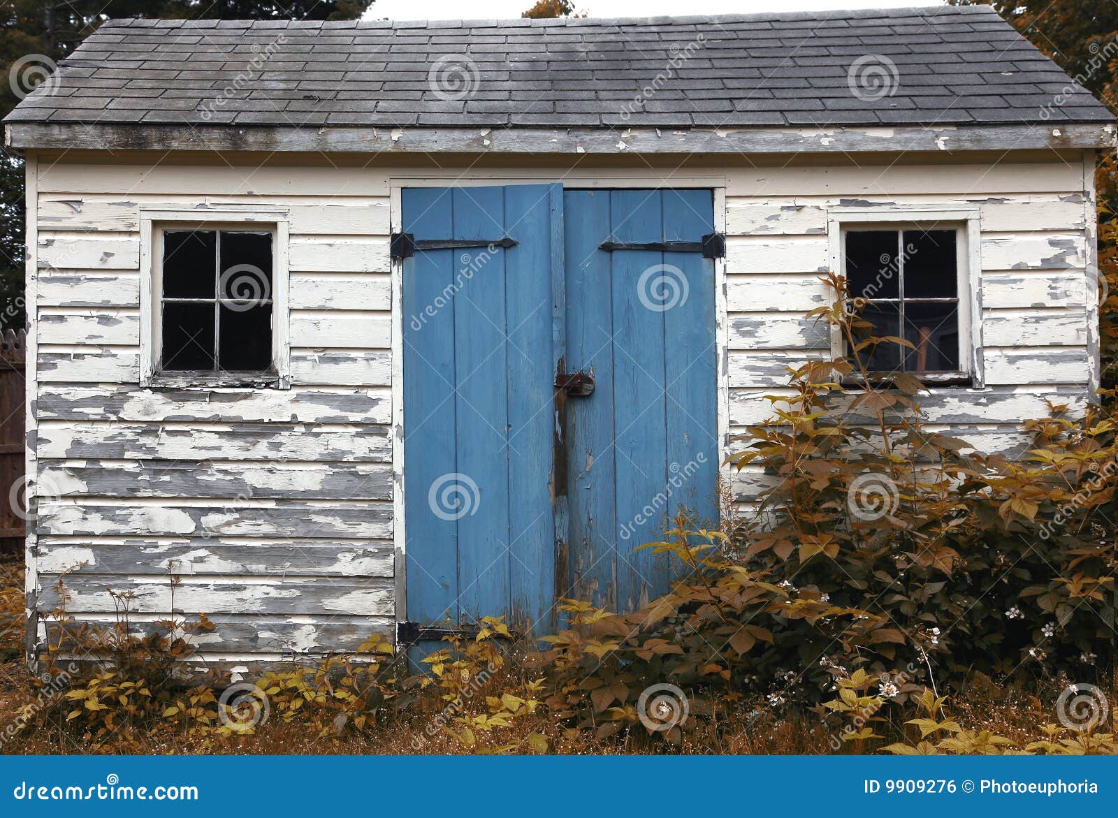 Small Wooden Shack stock photo. Image of grass, shack - 9909276