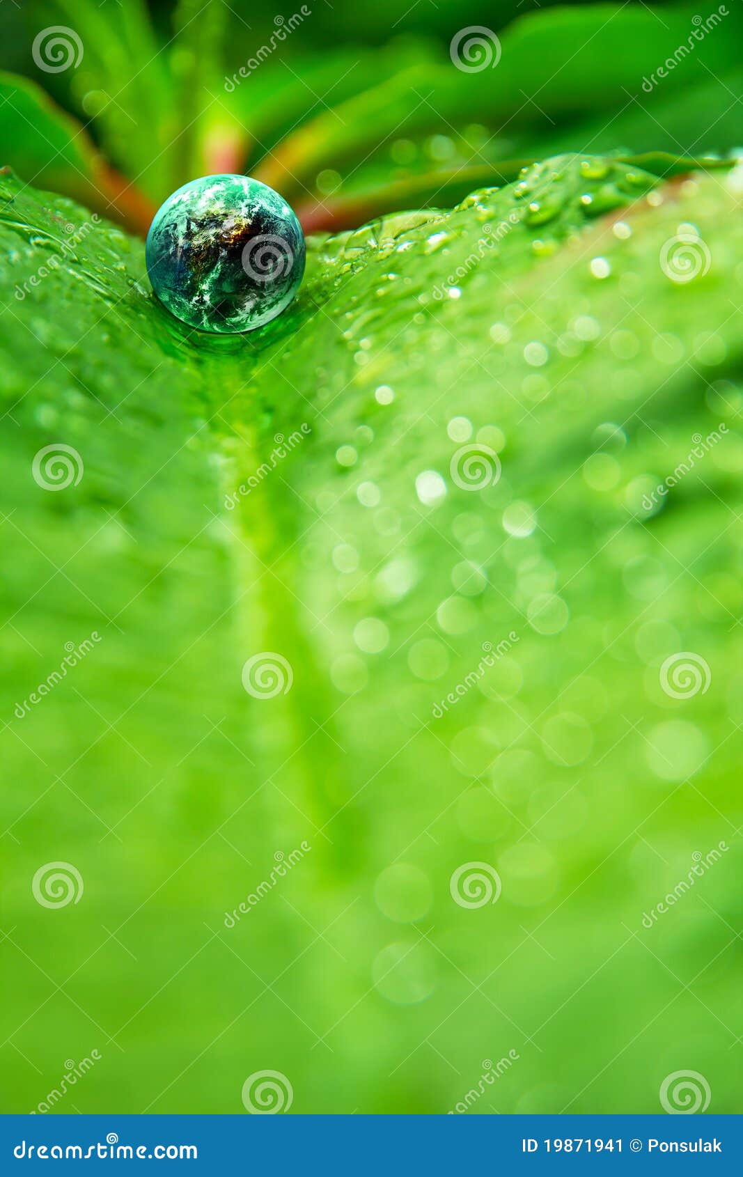 Small world in nature stock image. Image of object, surface - 19871941