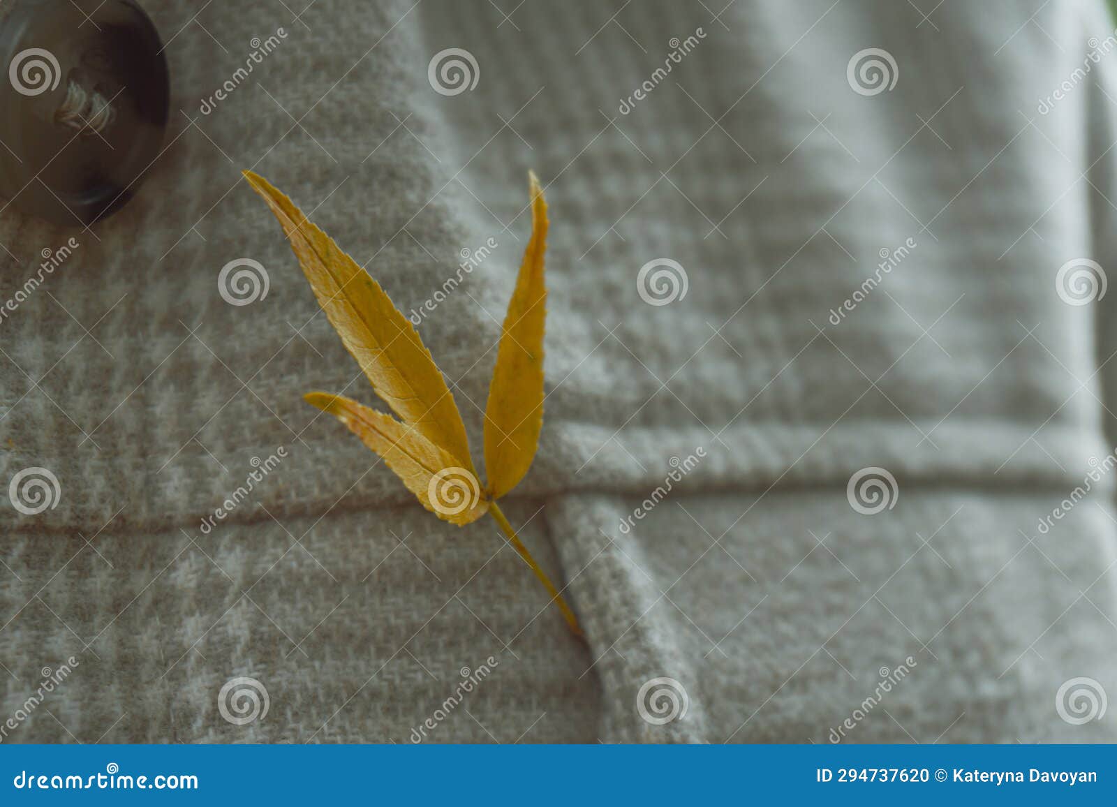A Small Yellow Autumn Leaf Sticks Out of the Pocket of a Checkered ...