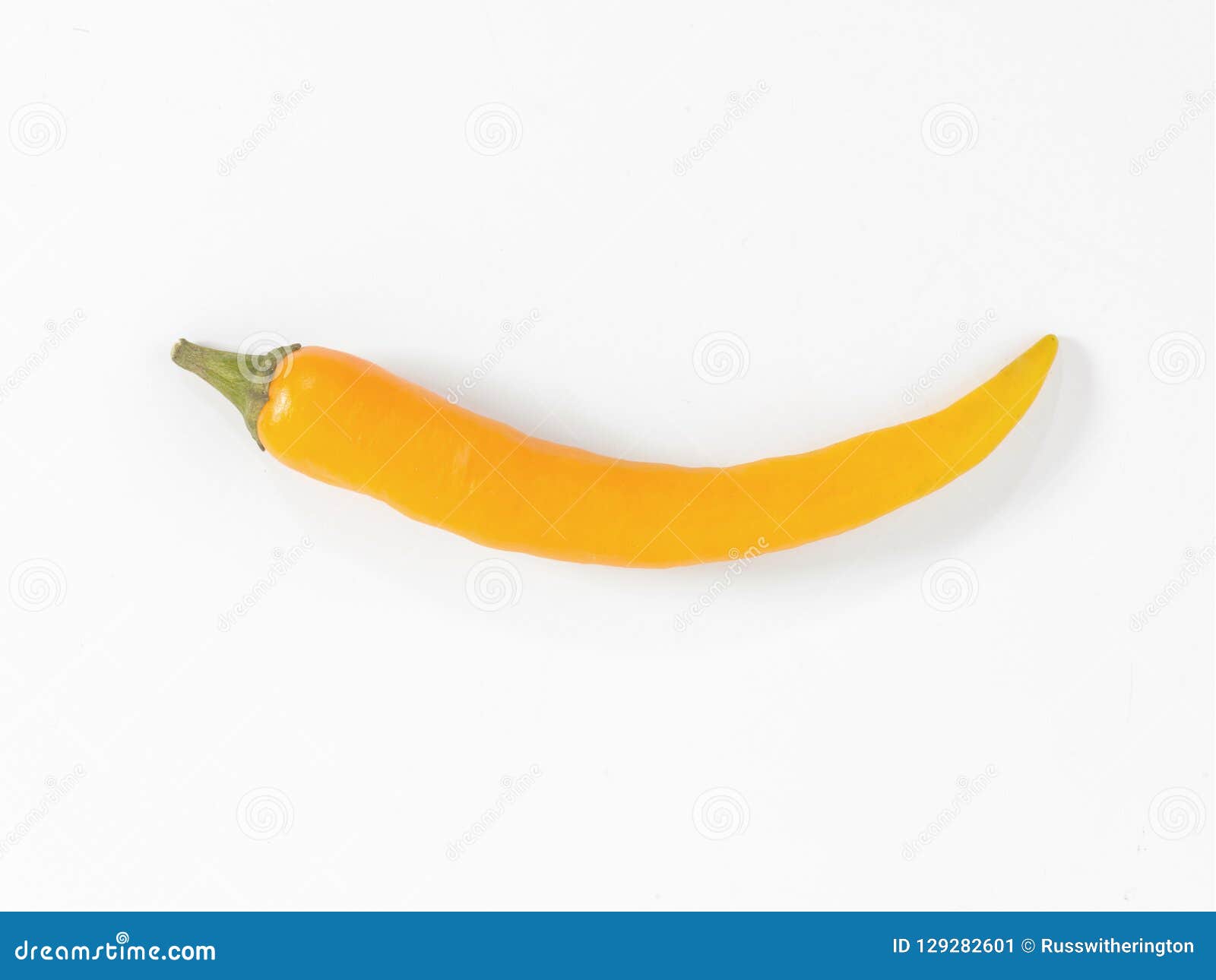 A single yellow chilli stock image. Image of agriculture - 129282601