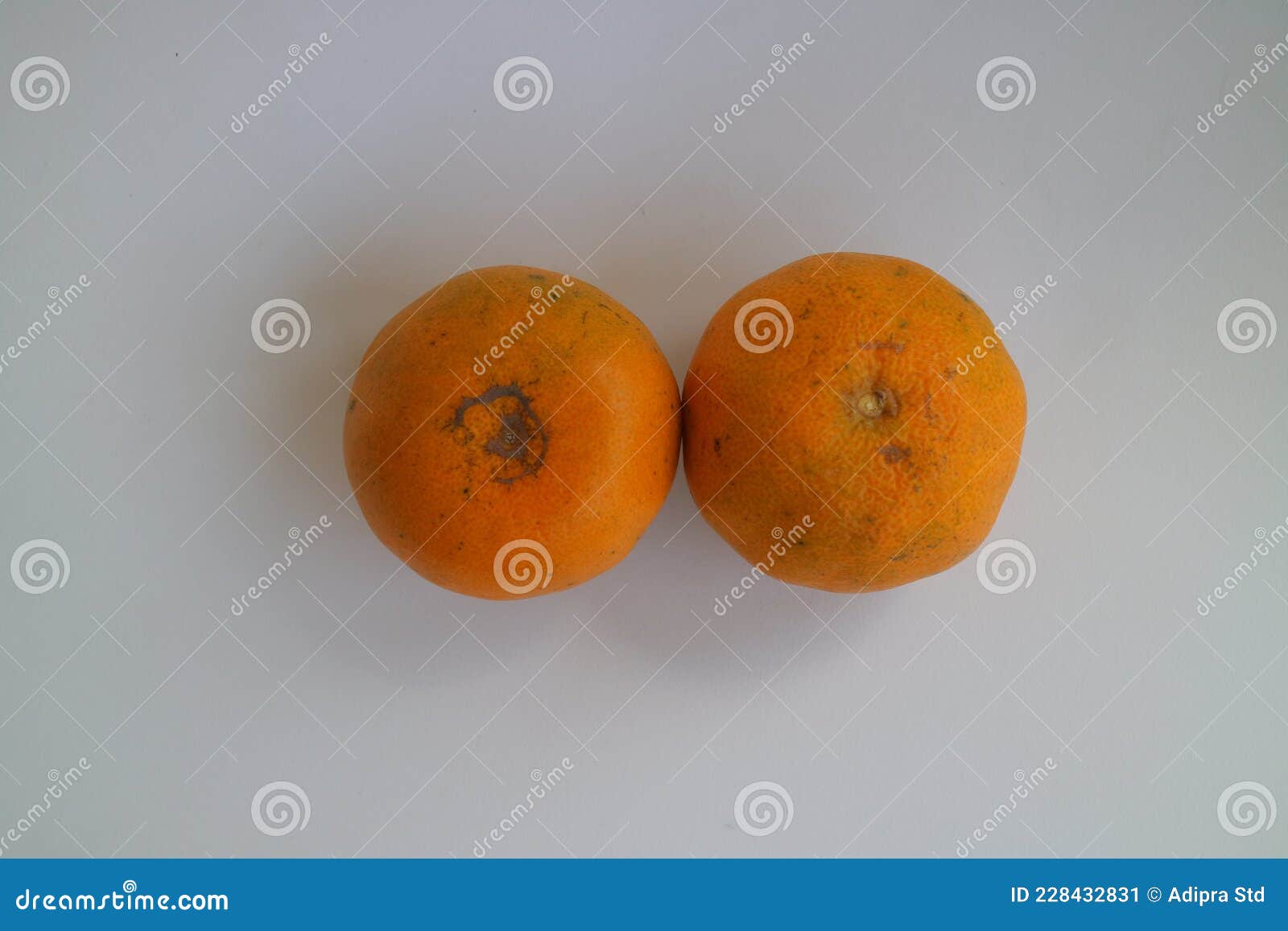 stock image. Image of green, health, natural, citrus - 228432831