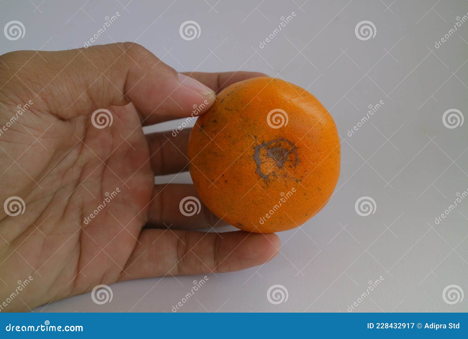 Small Yellow Color of Fresh Orange Fruit Stock Image - Image of orange ...