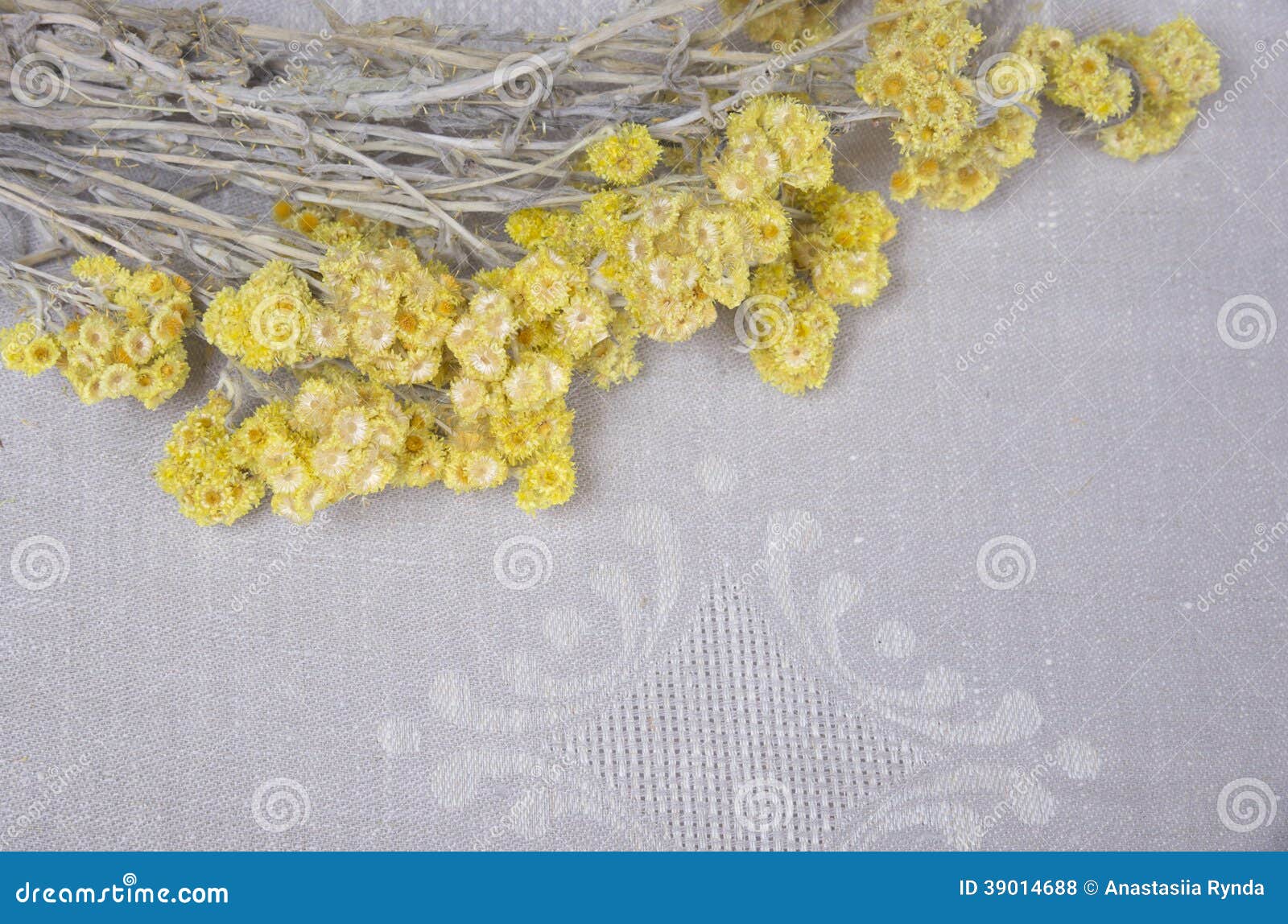 Small Yellow Flowers on Table Stock Photo - Image of blossom, spring ...