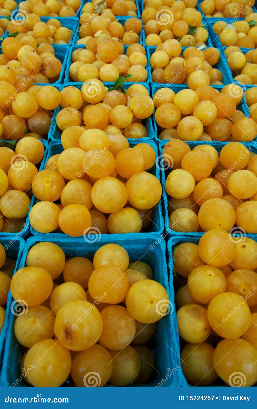 Small yellow plums stock image. Image of plum, snack - 15224257
