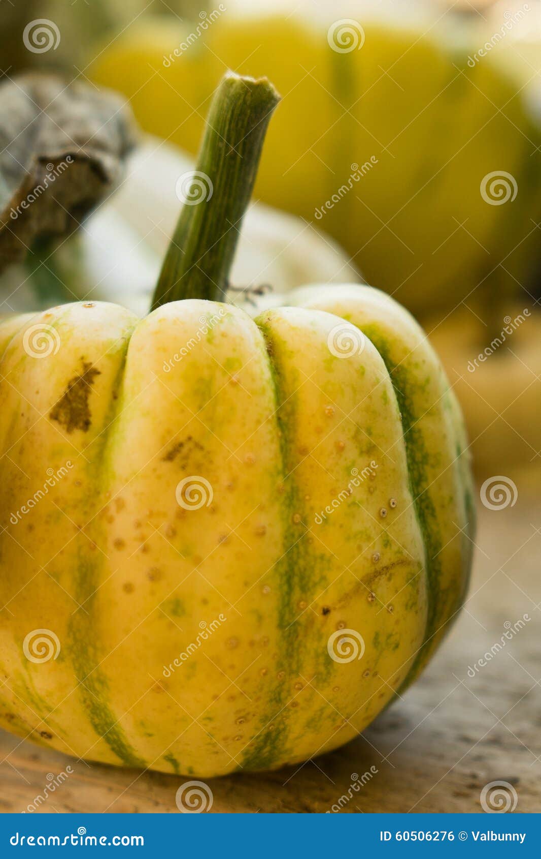 Small Yellow Pumpkin stock photo. Image of table, seasonal - 60506276
