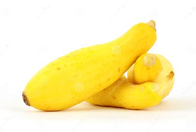 Small Yellow Summer Squash stock image. Image of three - 15170777