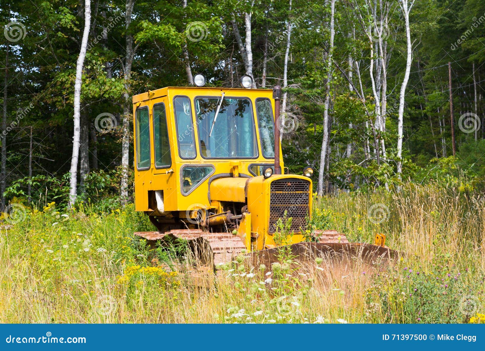 Small Yellow Tractor in a Field Editorial Image - Image of bright ...