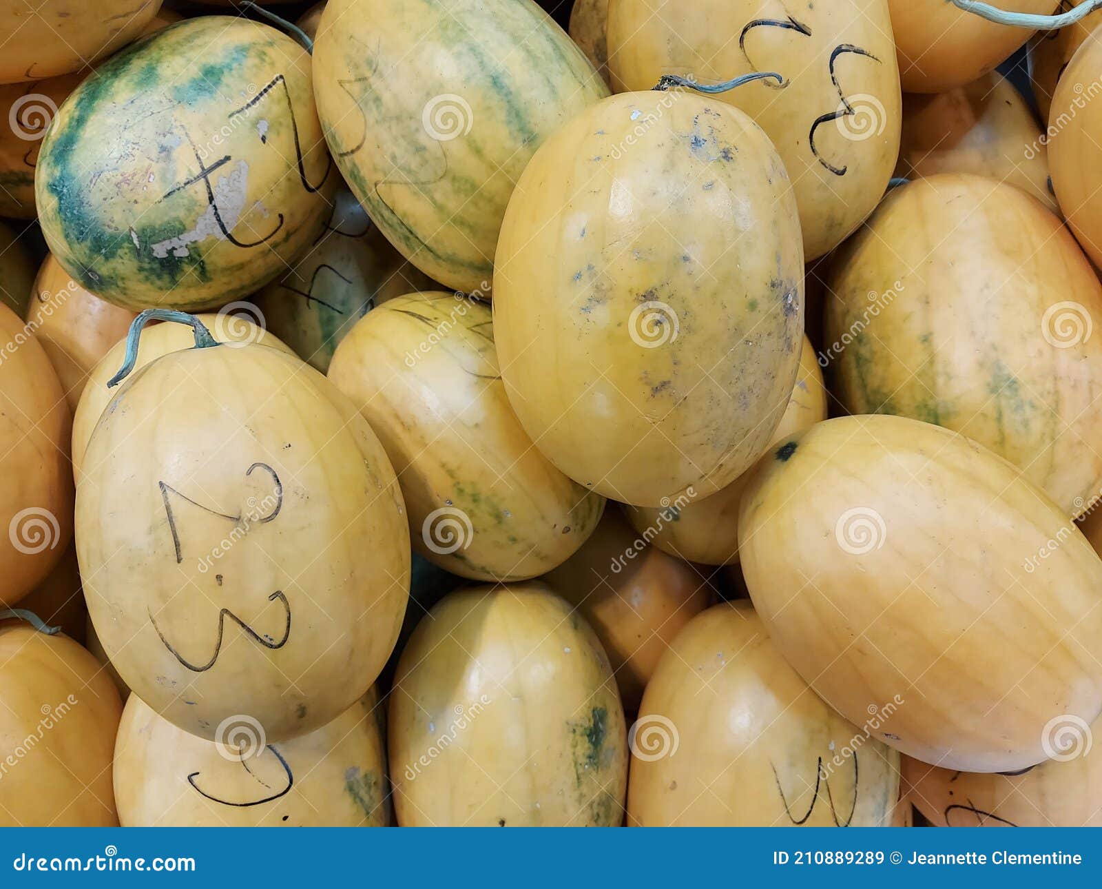 Small Yellow Watermelons stock image. Image of fruit - 210889289