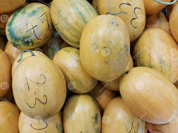Small Yellow Watermelons stock image. Image of fruit - 210889289