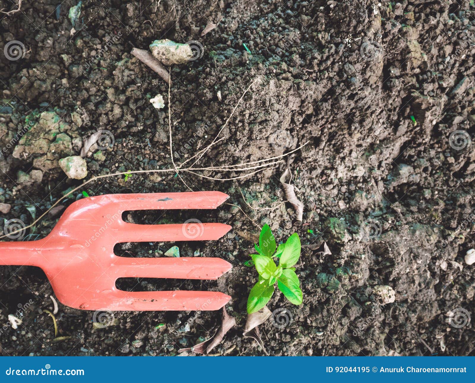 Small Young Plant and Spade Tool with Soil Background Stock Image ...