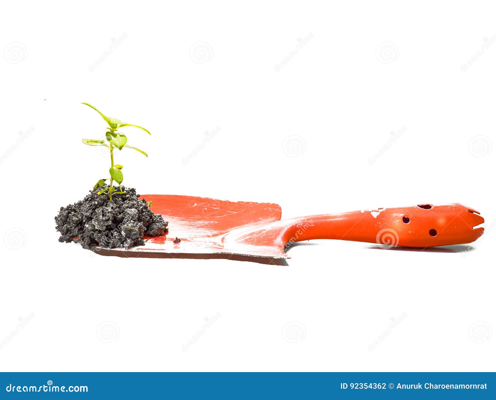 Small Young Plant on Spade Tool with Soil on White Background an Stock ...