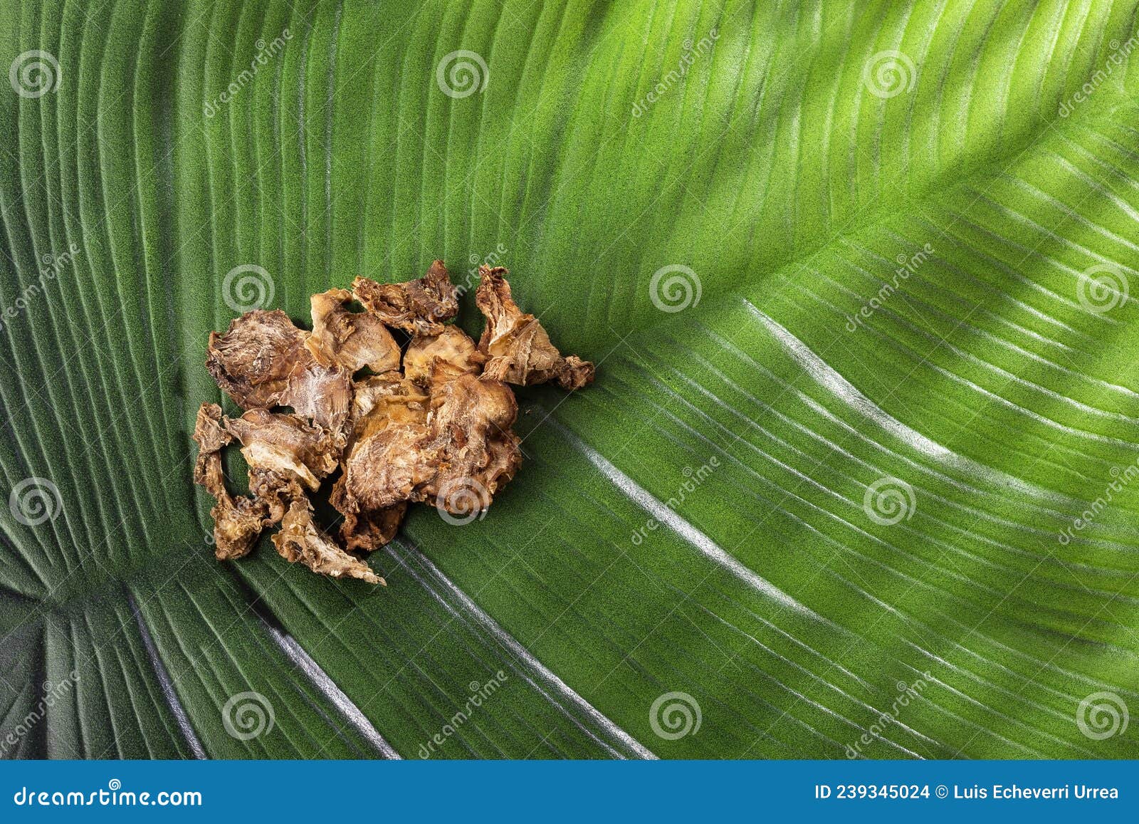 Smallanthus Sonchifolius - Dehydrated Yacon Root on the Green Leaf ...