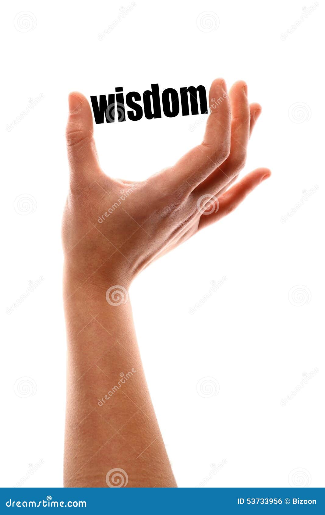 Smaller wisdom stock photo. Image of judgment, concepts - 53733956