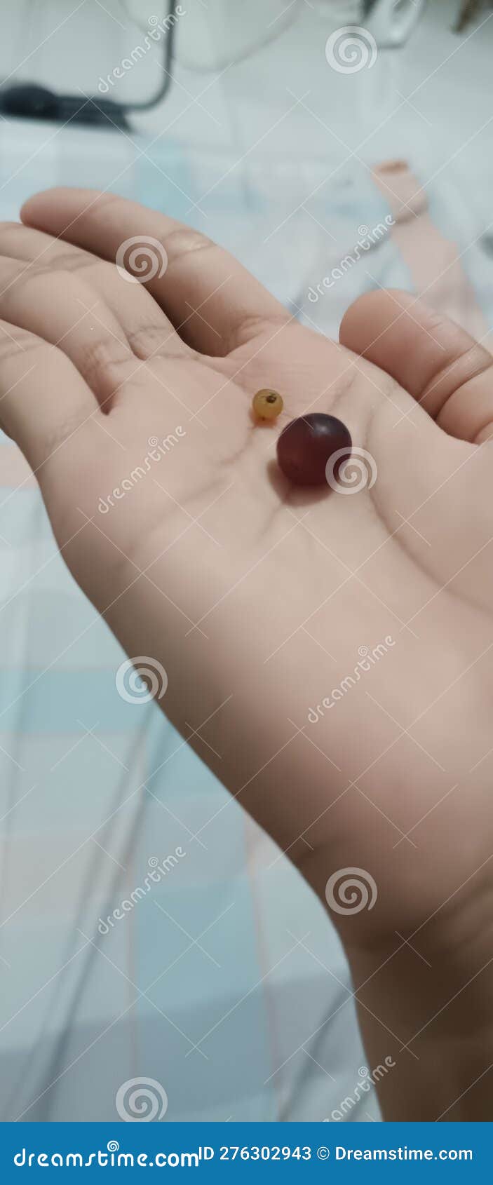 Smallest Grape I Have Ever Seen Stock Image - Image of smallest, grape ...