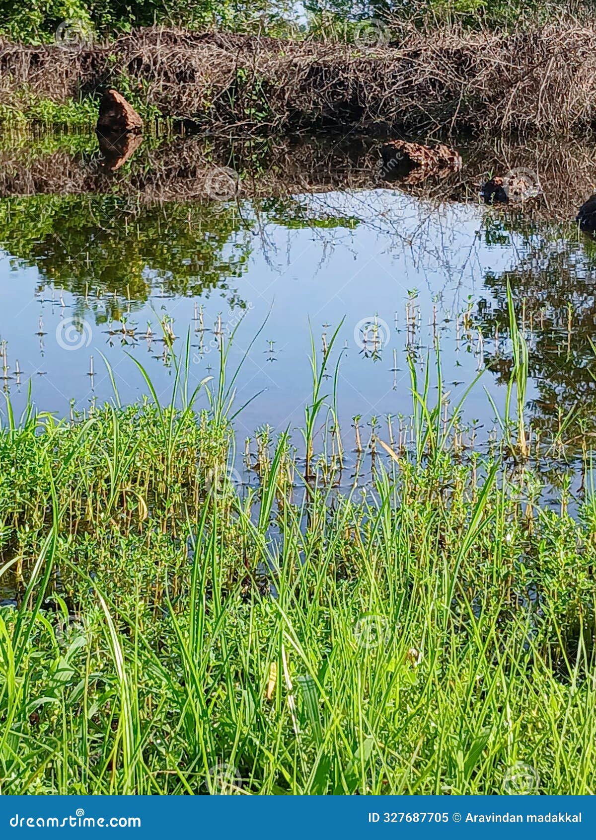 Smallpond Nature Beautiful Picture Rock and Wter Stock Image - Image of ...