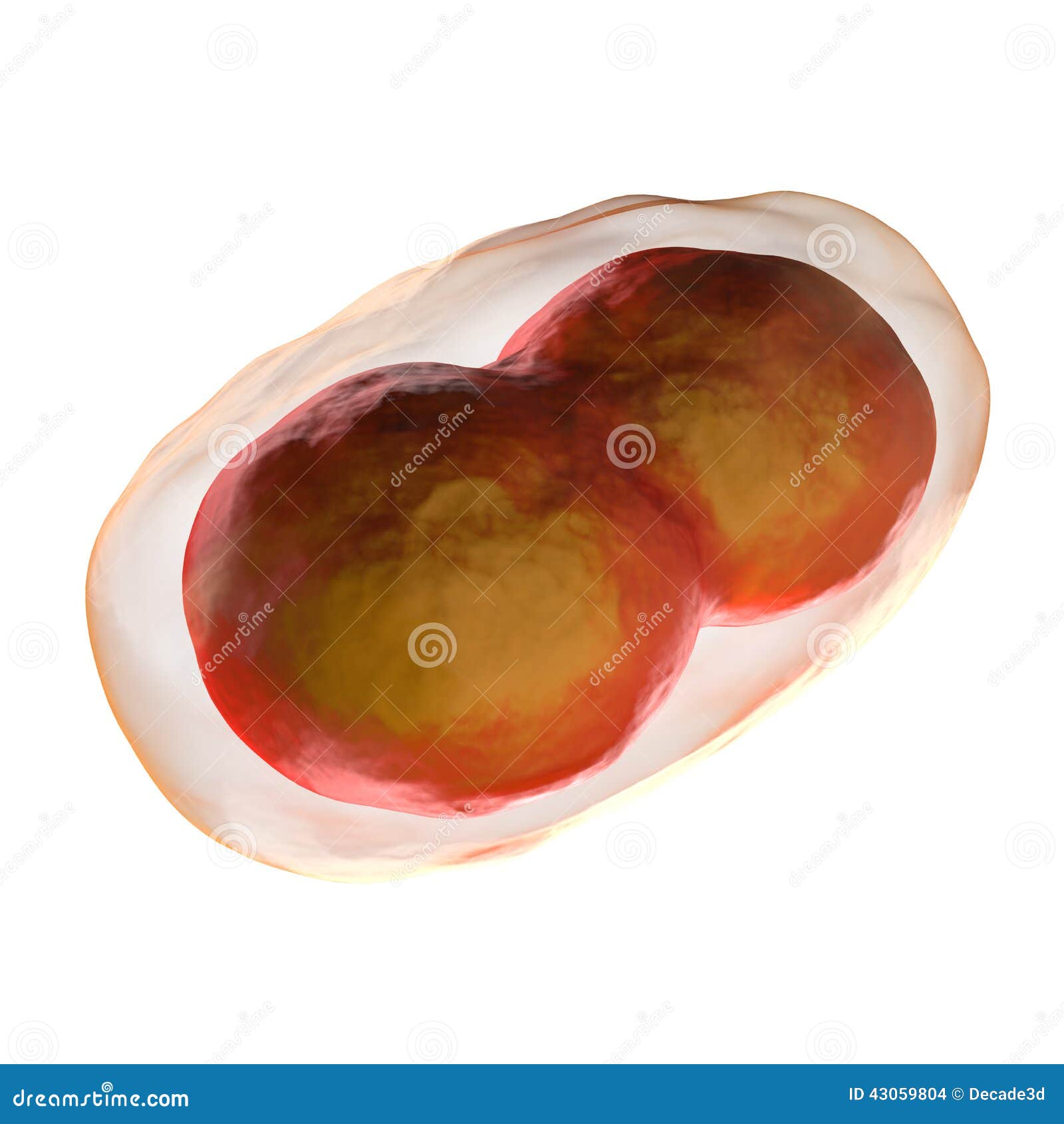 Smallpox Cartoons, Illustrations & Vector Stock Images - 2502 Pictures ...