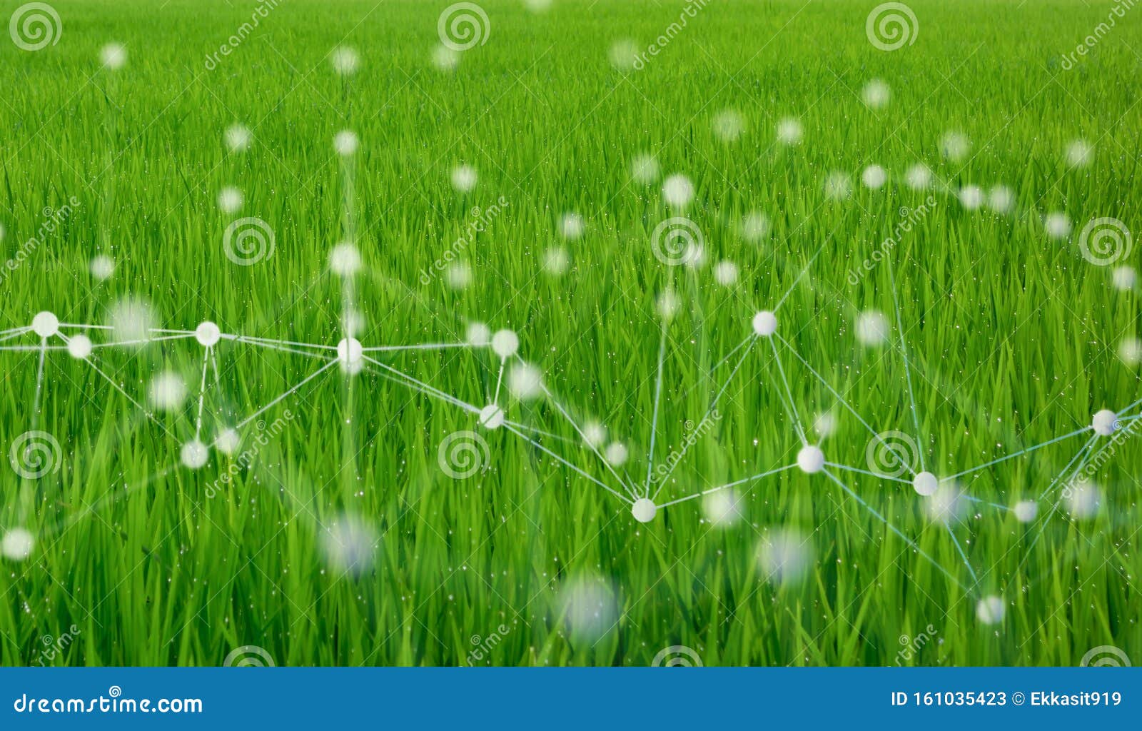 Smart Agriculture Concept With Machine Deep Learning Neural Network