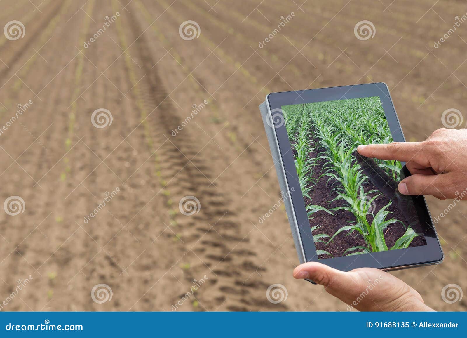 Smart Agriculture. Farmer Using Tablet Corn Planting. Modern ...