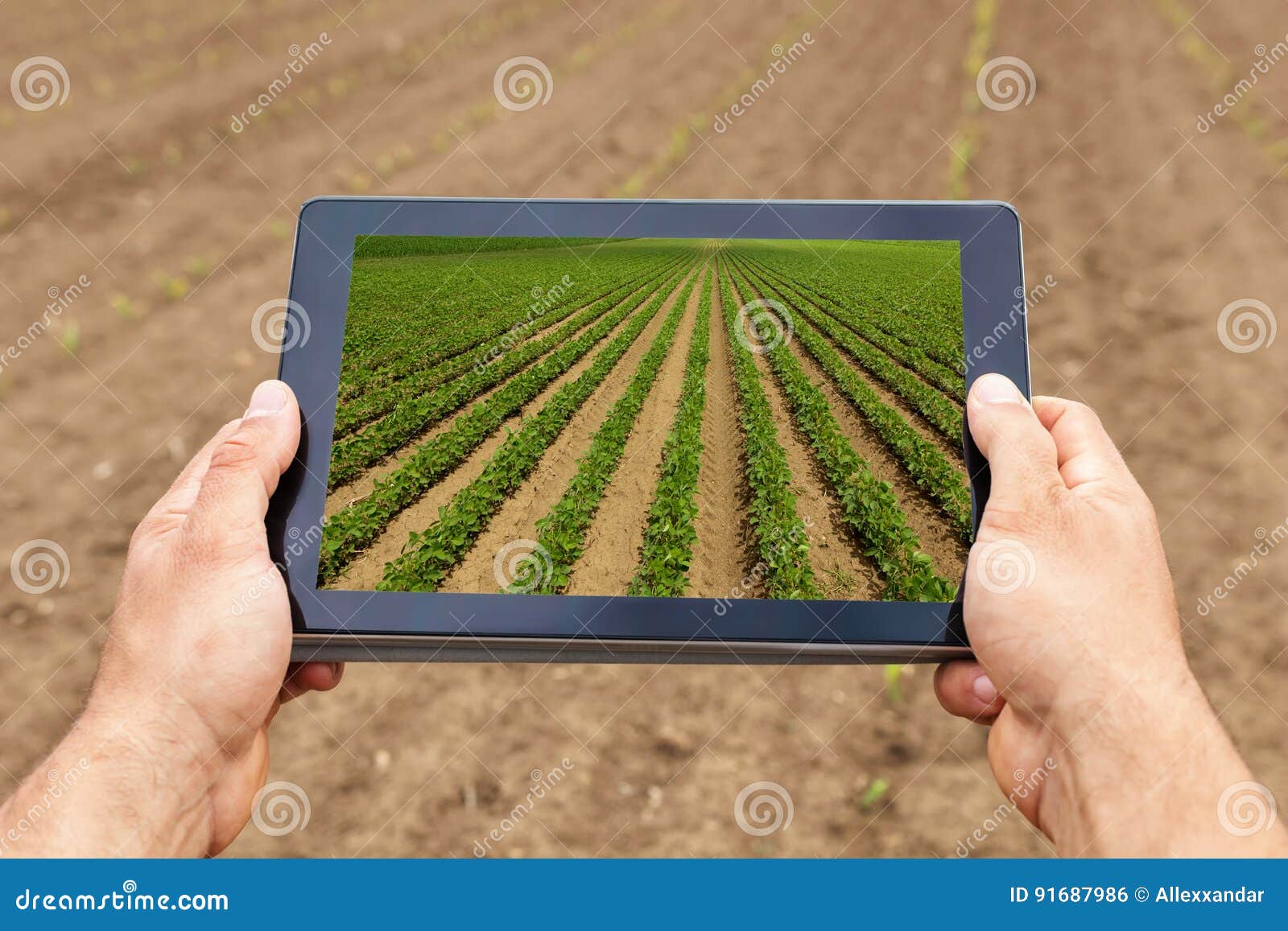 Smart Agriculture. Farmer Using Tablet Soy Planting. Modern Agriculture ...