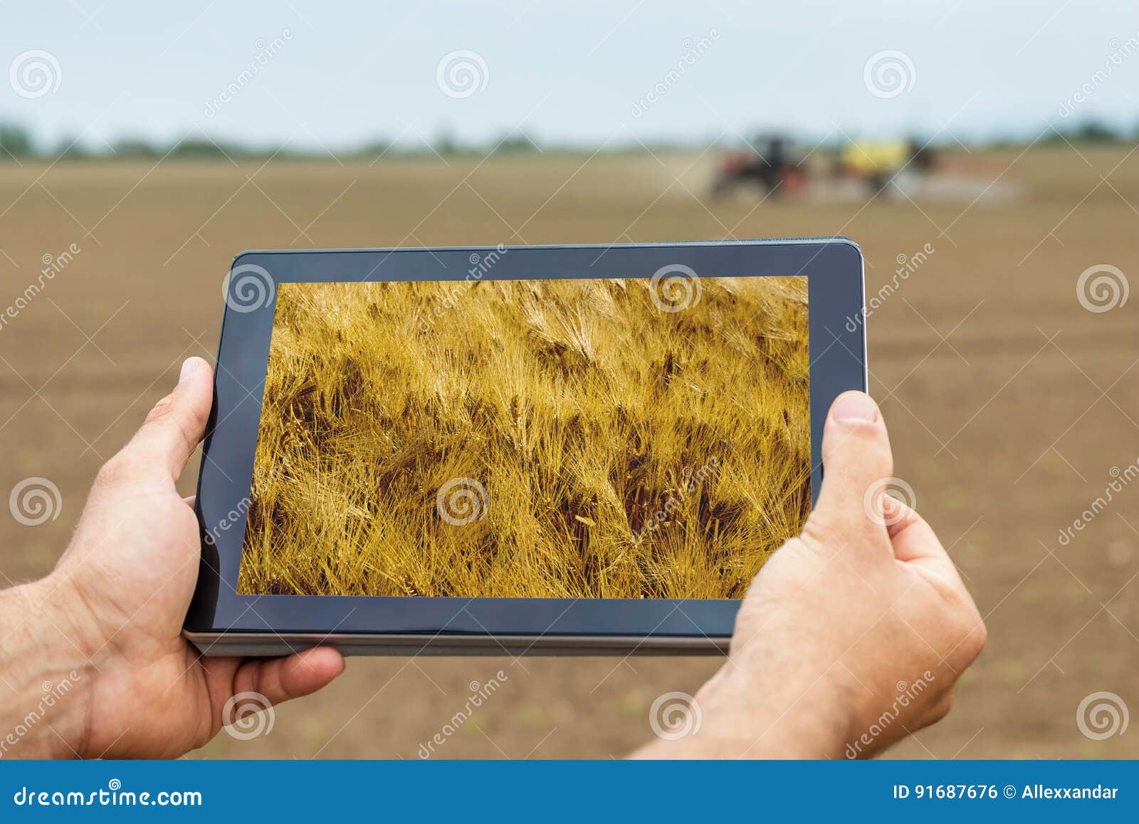 Smart Agriculture. Farmer Using Tablet Wheat Planting Stock Photo ...