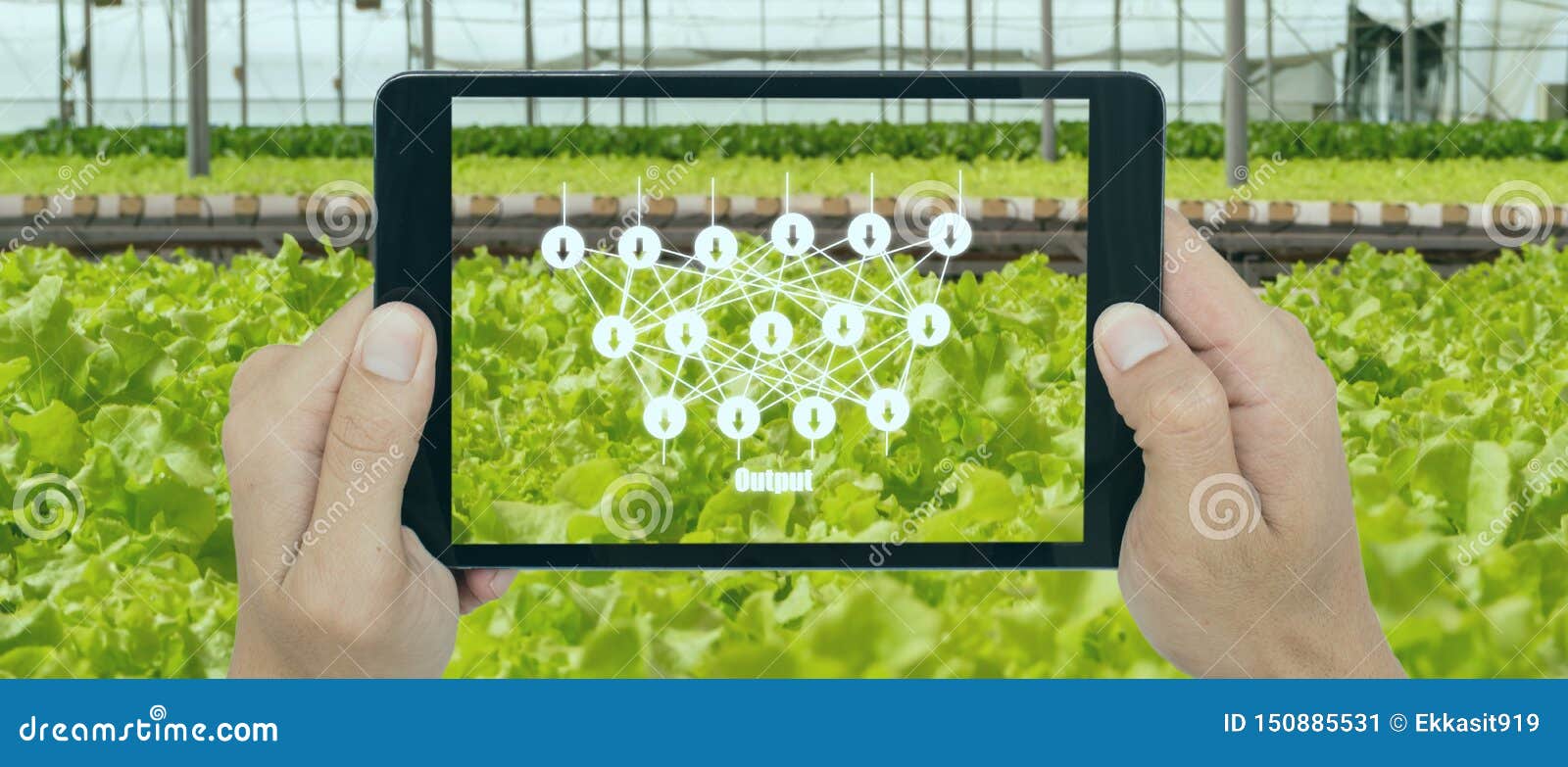 Smart Agriculture with Technoloty Concept, Farmer Use Deep Learning ...