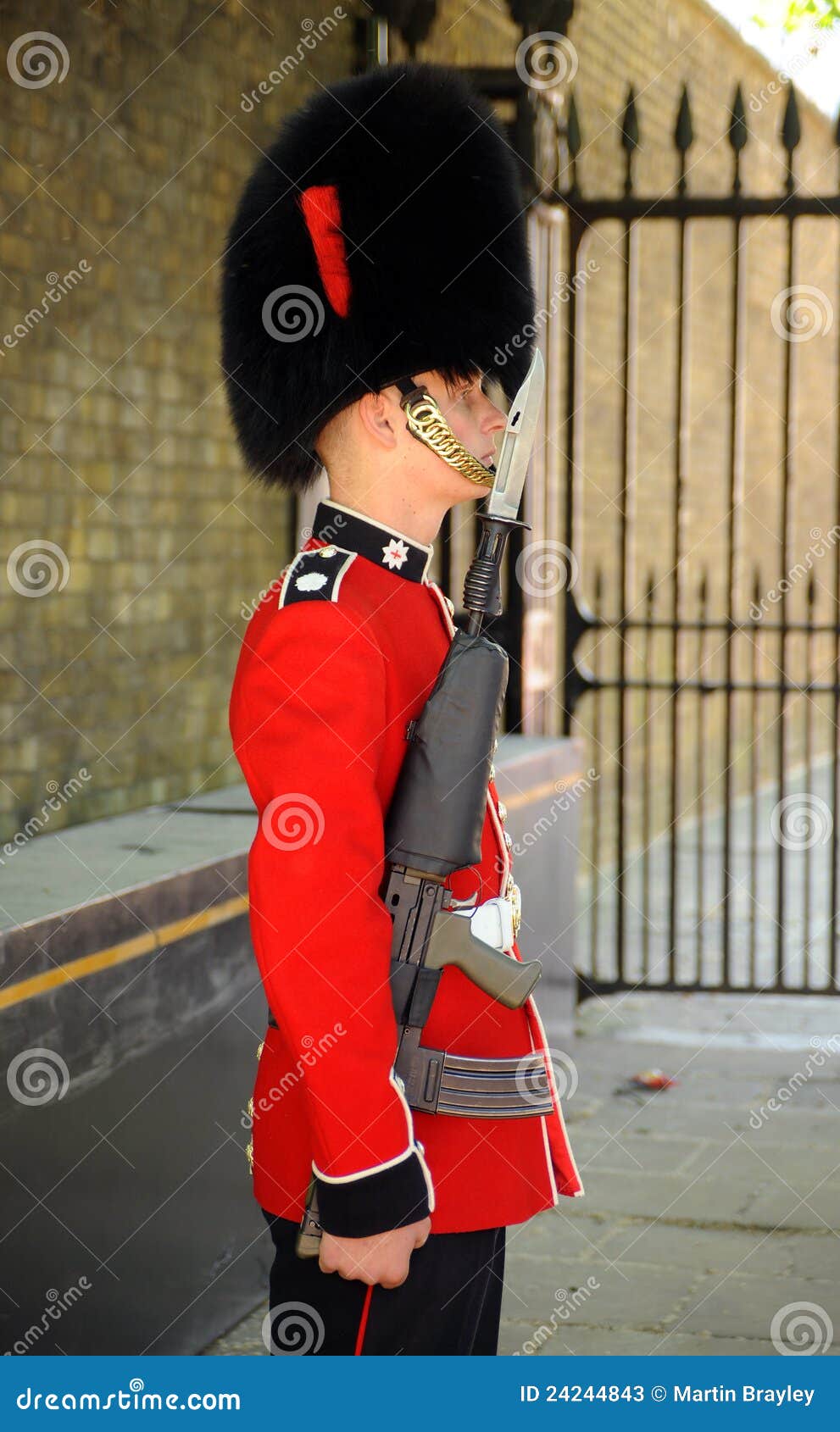 Smart as a Guardsman. editorial stock photo. Image of coldstream - 24244843