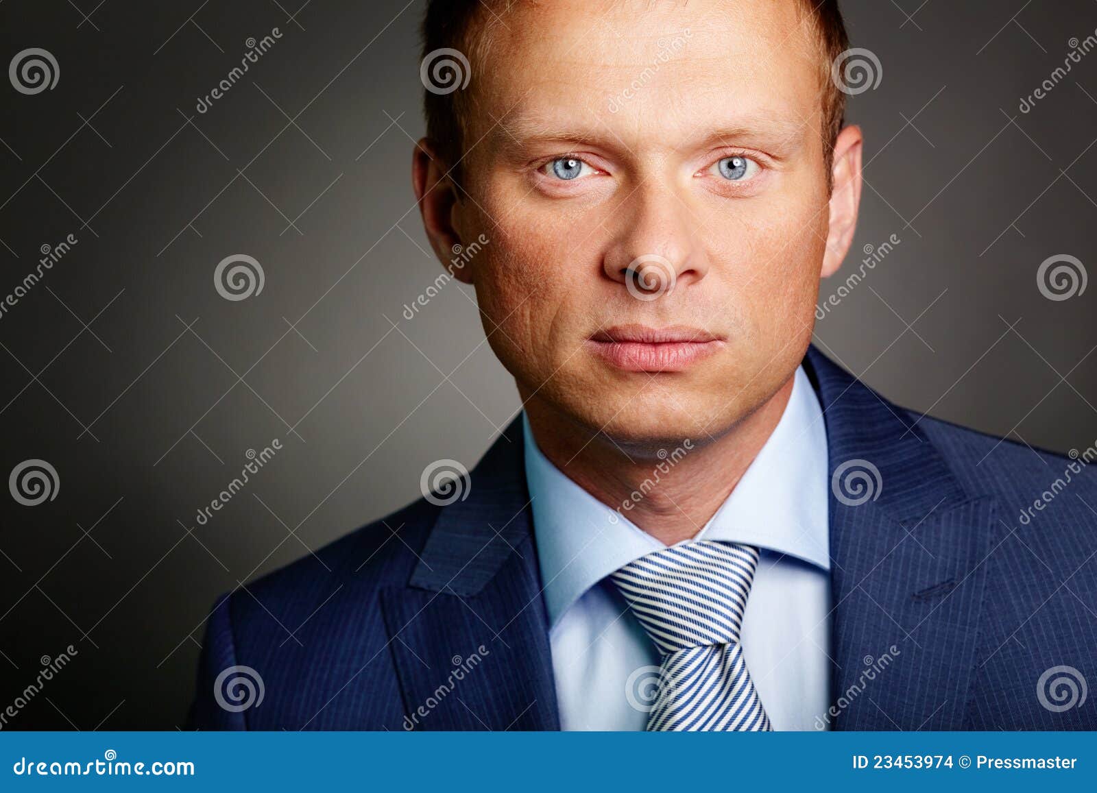 Smart businessman stock photo. Image of elegant, leader - 23453974