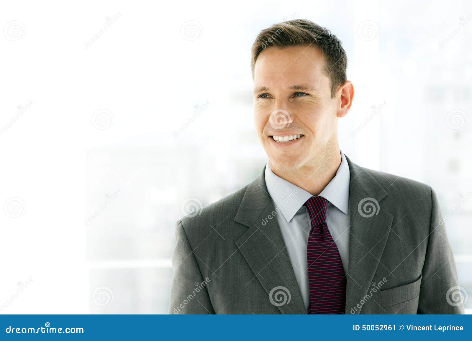 Smart Businessman stock image. Image of collar, insurance - 50052961