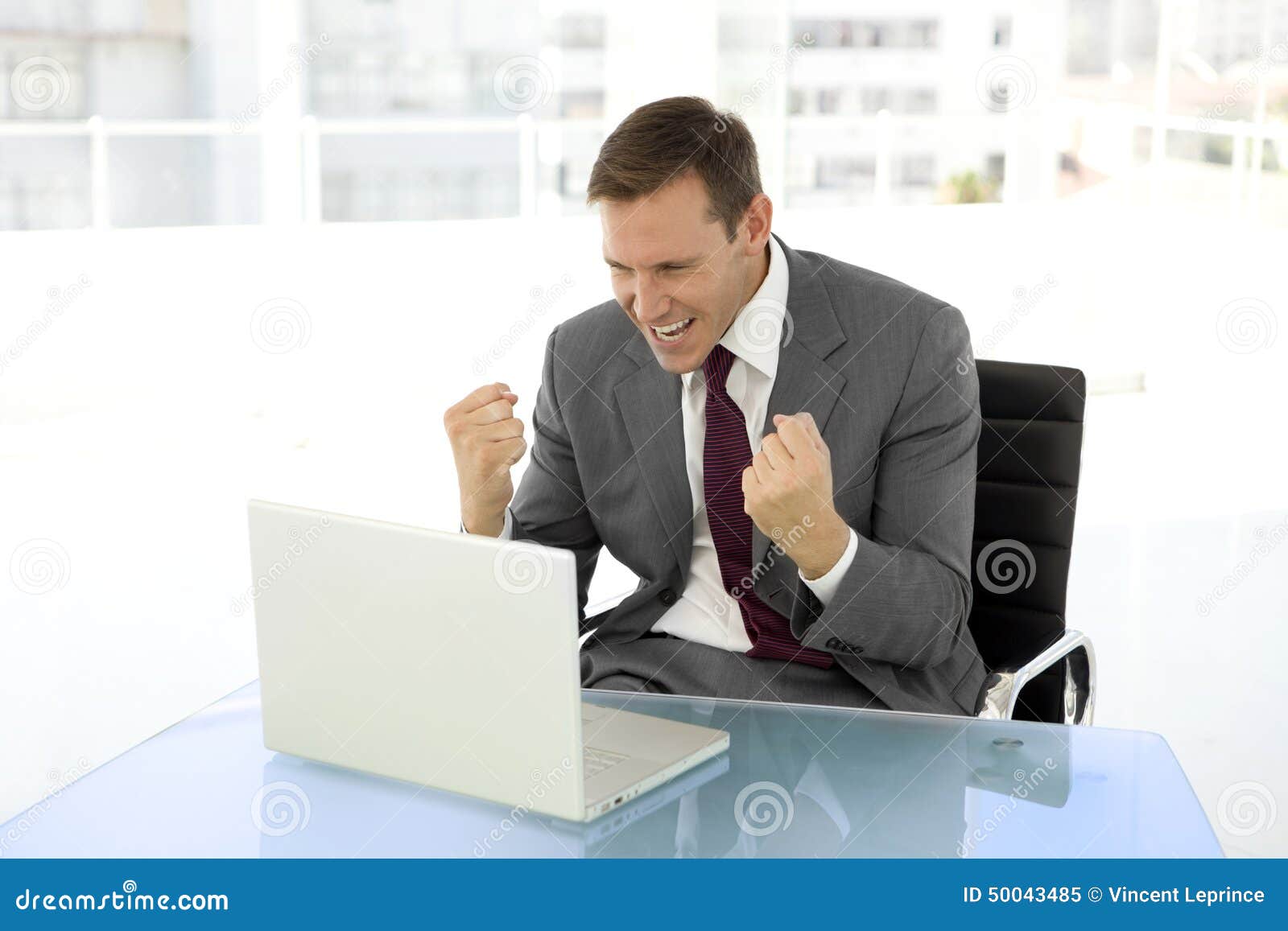 Smart Businessman stock image. Image of fists, deal, estate - 50043485