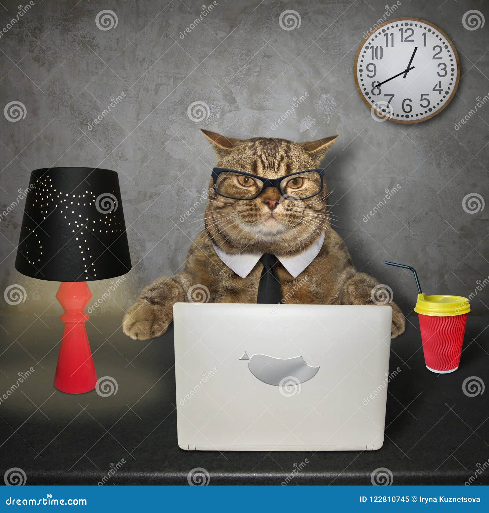 Cat Works on the Computer 2 Stock Image - Image of working, collar ...