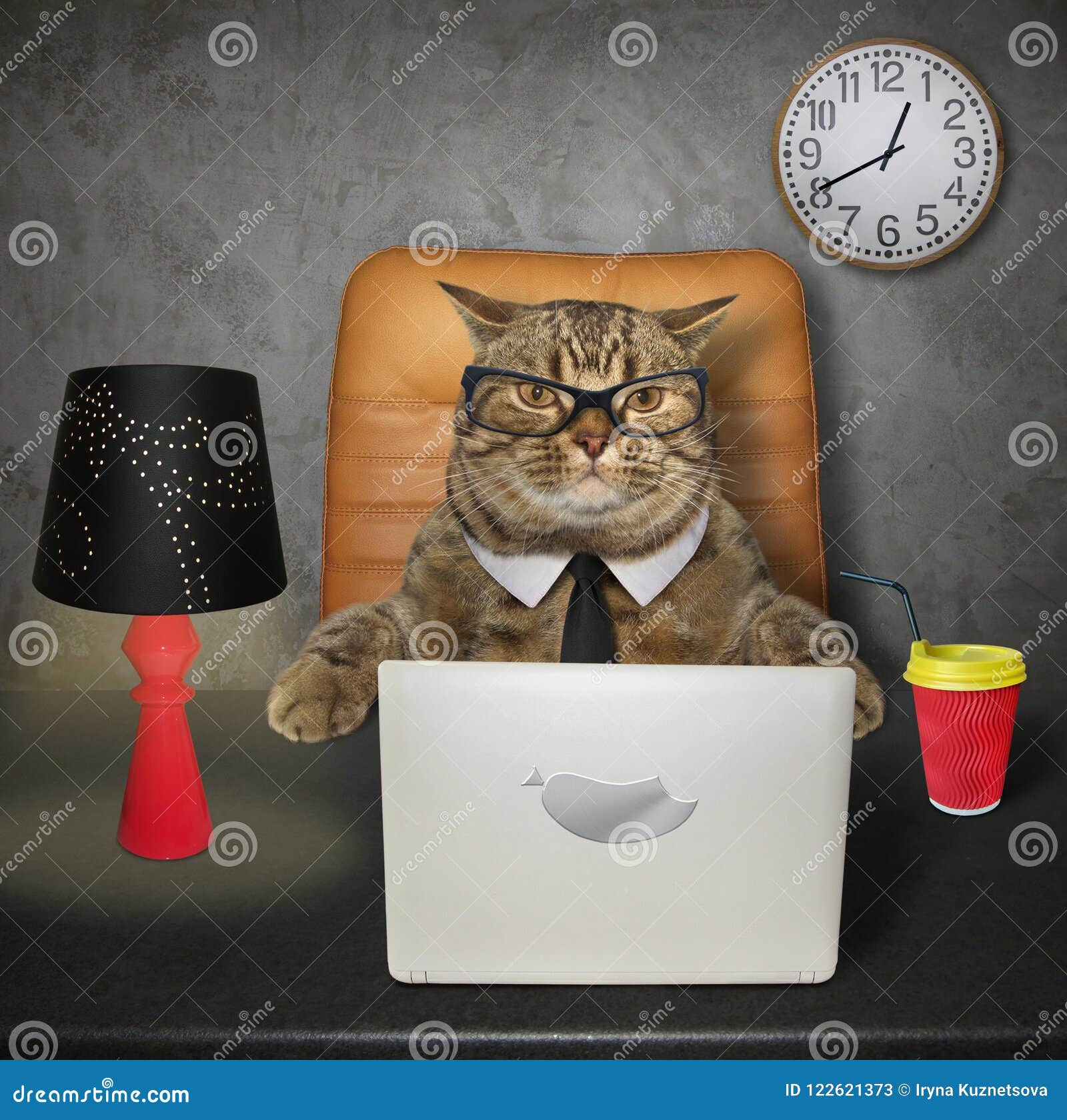 Cat works at the table stock image. Image of coffee - 122621373