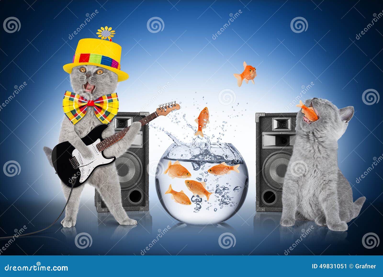 Smart cat team concept stock image. Image of plan, leader - 49831051