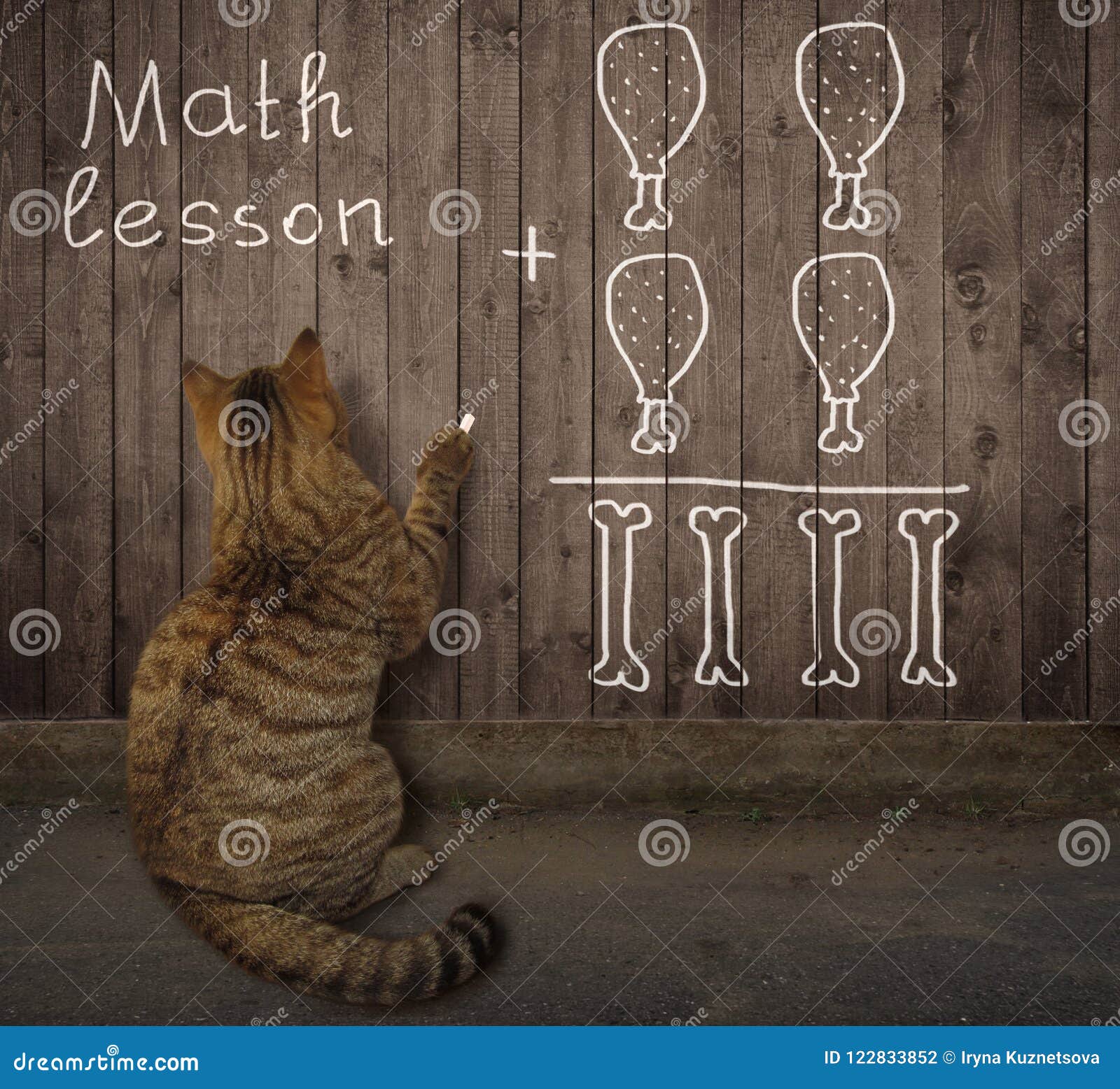 Cat Writes a Math Equation on a Fence Stock Photo - Image of smart ...