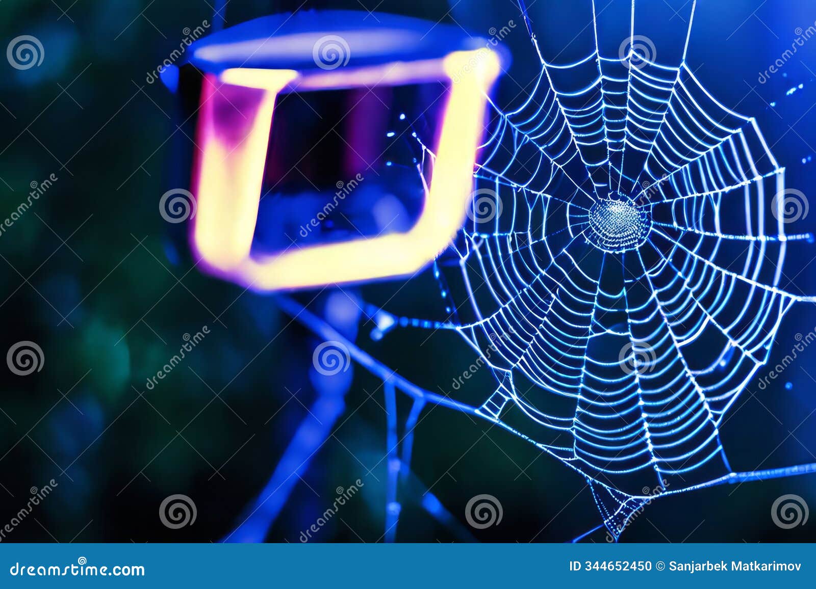 Smart Cobweb for Personal Safety Solutions Stock Illustration ...