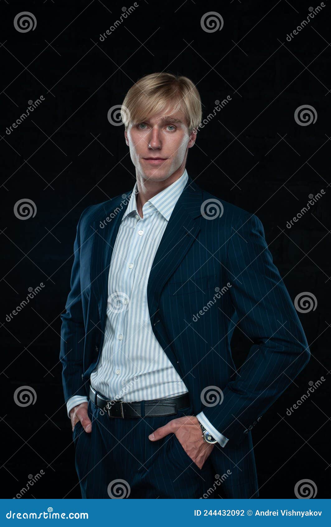 Smart Executive stock photo. Image of solated, business - 244432092
