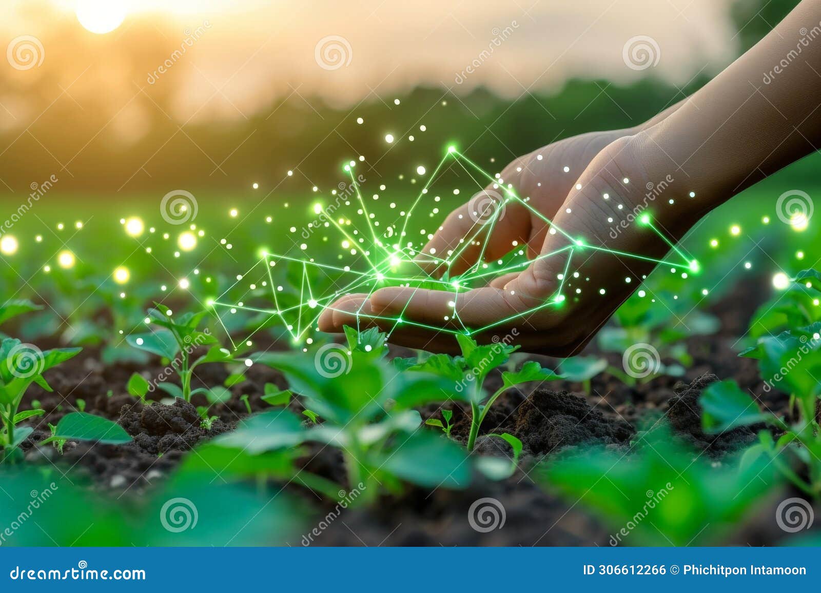 Smart Farm Concept, Agricultural Automation Control, Using Data To ...