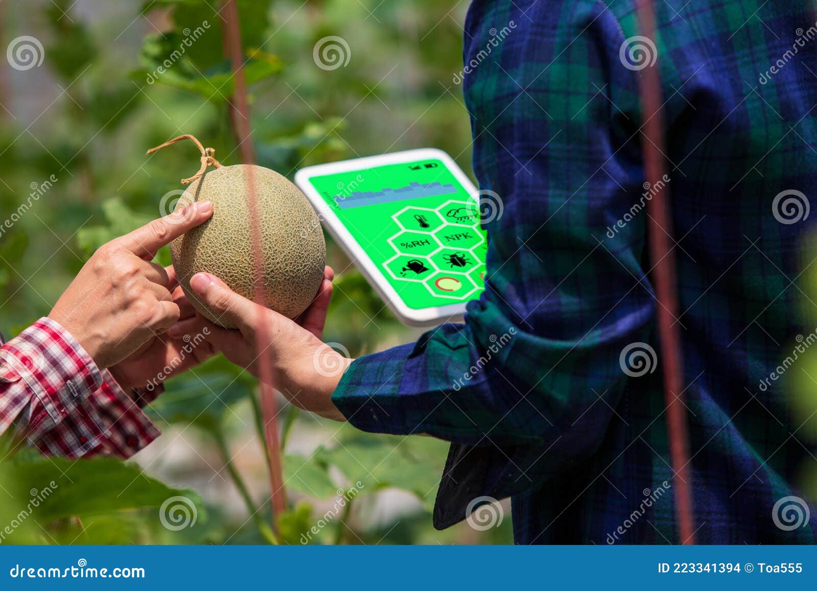 Smart Farm, Farmer Using Tablet Computer Control Agricultural System in ...