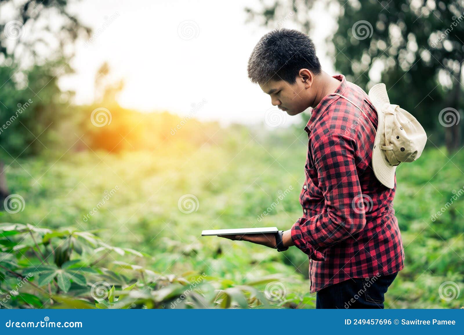 Smart Farmer Checking Crop Integrity and Maintenance Planning for Good ...