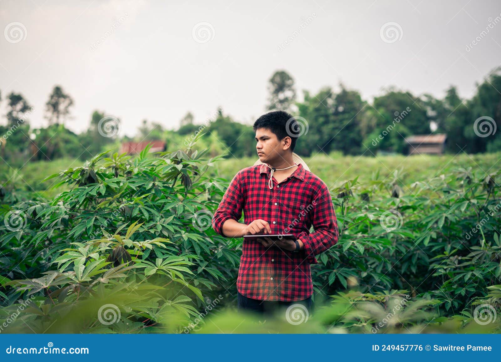 Smart Farmer Checking Crop Integrity and Maintenance Planning for Good ...