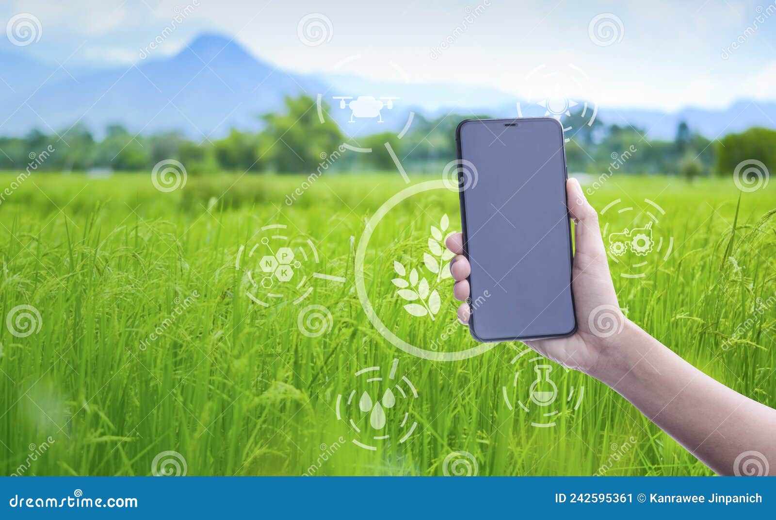 Smart Farmer Concept Using Smartphone in Rice Field and Visual Icon ...