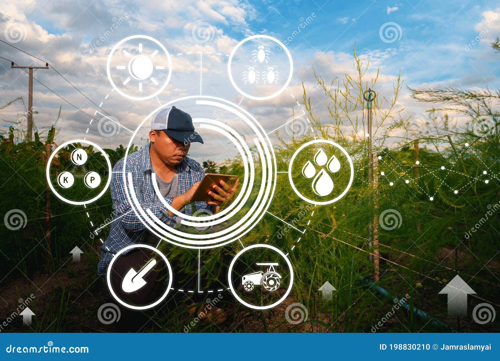 Smart Farmer Using Application by Smartphone in Asparagus Field ... Smart Farmer Using Application by Smartphone in Asparagus Field ...