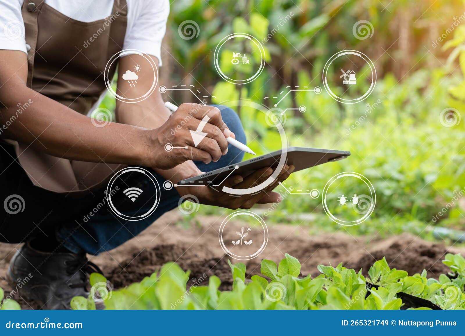 Smart Farmer Using Application by Smartphone Concepts Modern ...