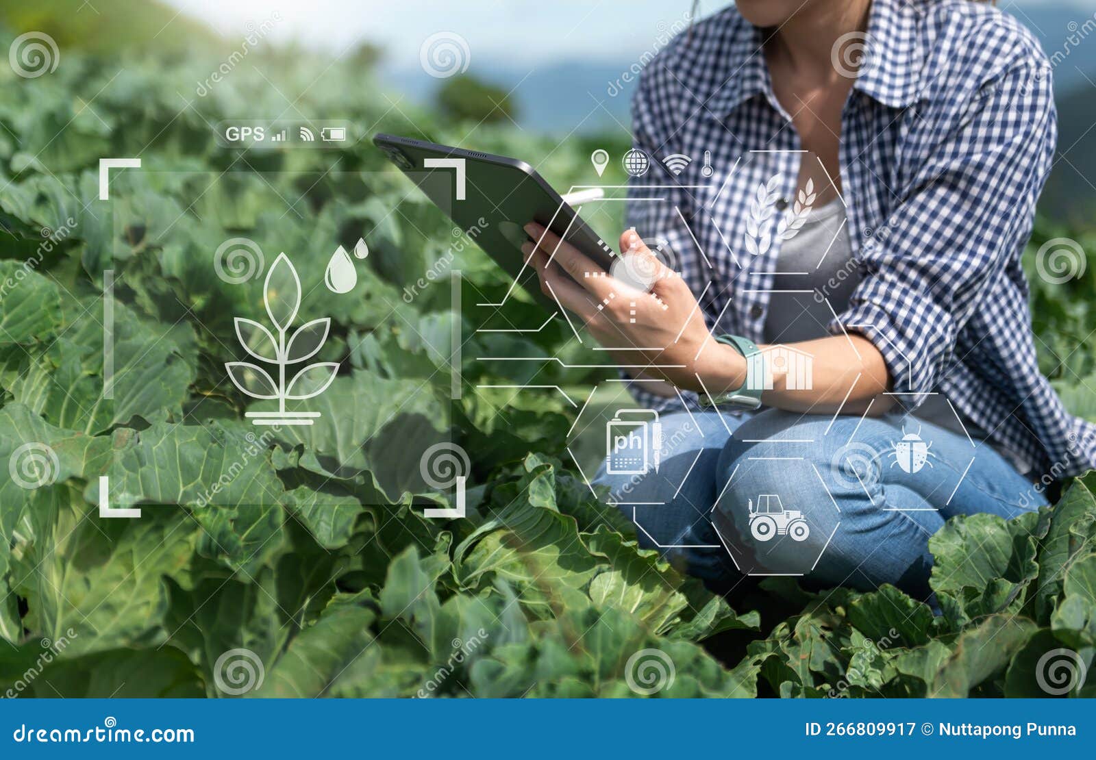 Smart Farmer Using Application by Smartphone Concepts Modern ...