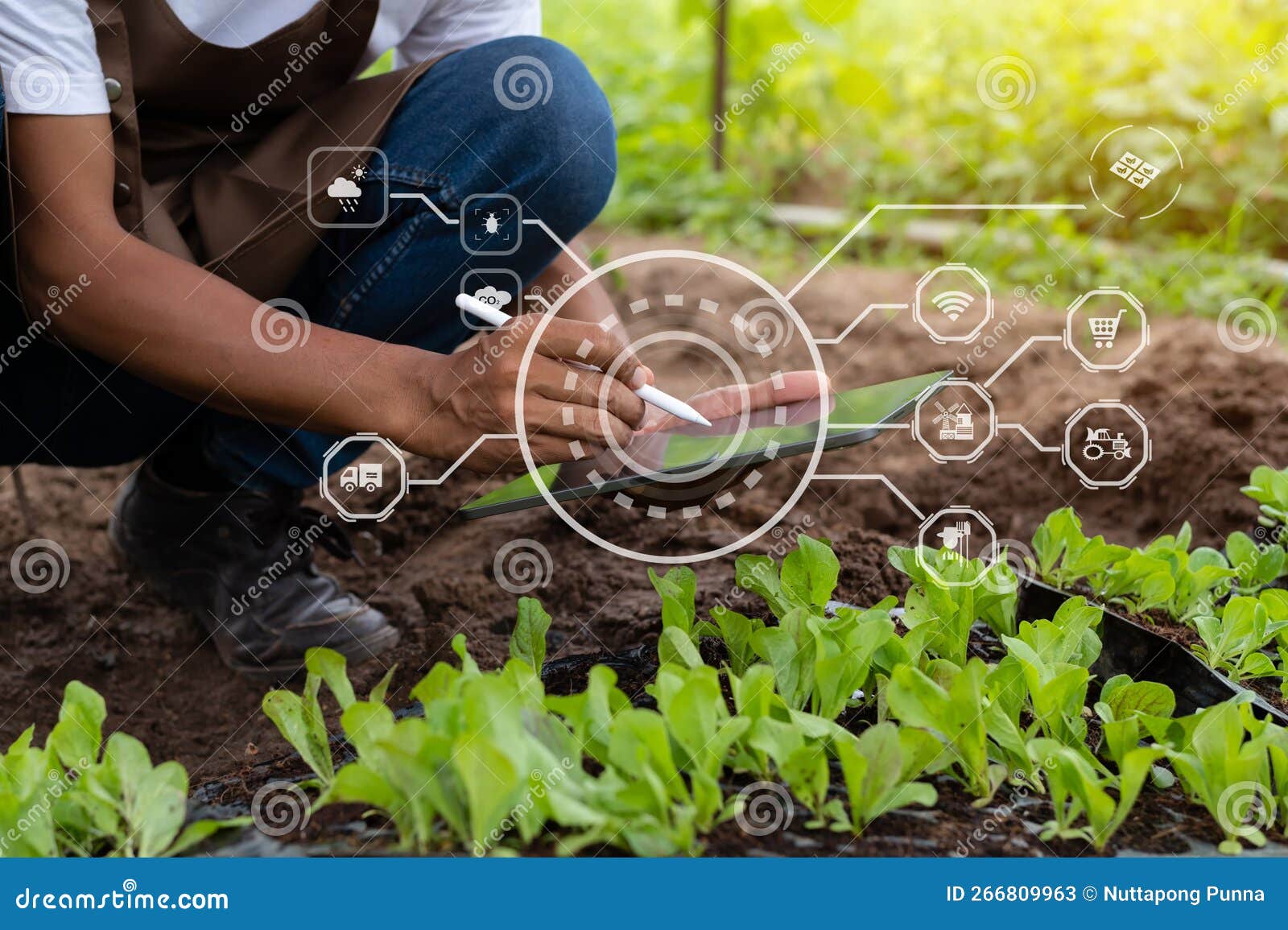 Smart Farmer Using Application by Smartphone Concepts Modern ...